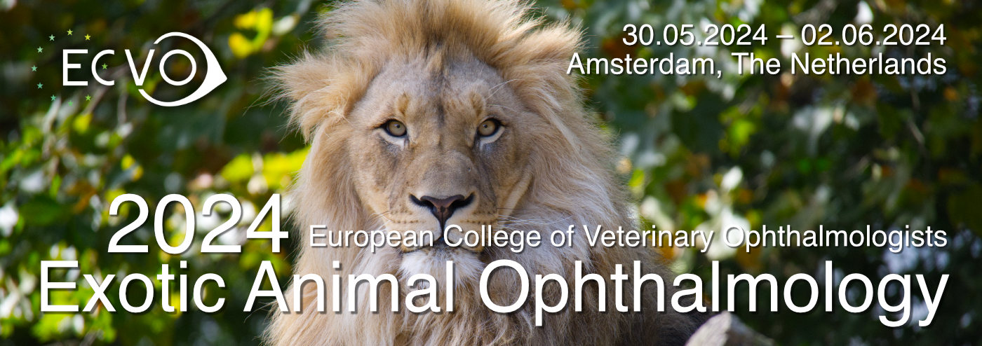 ECVO - Welcome to The European College of Veterinary Ophthalmologists
